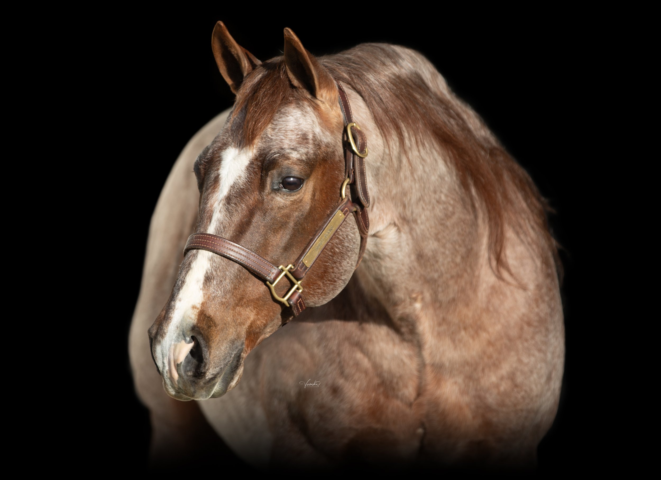 Smart Boons — The Ranch Equine, Inc.