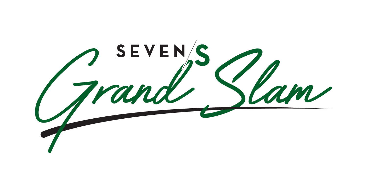 Seven S Grand Slam — The Ranch Equine, Inc.