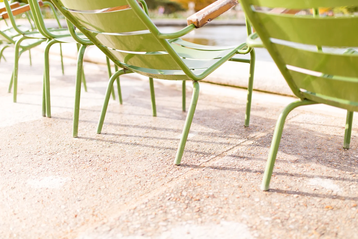 Photography Tip: How to Bring Your Photos to the Next Level - The ...