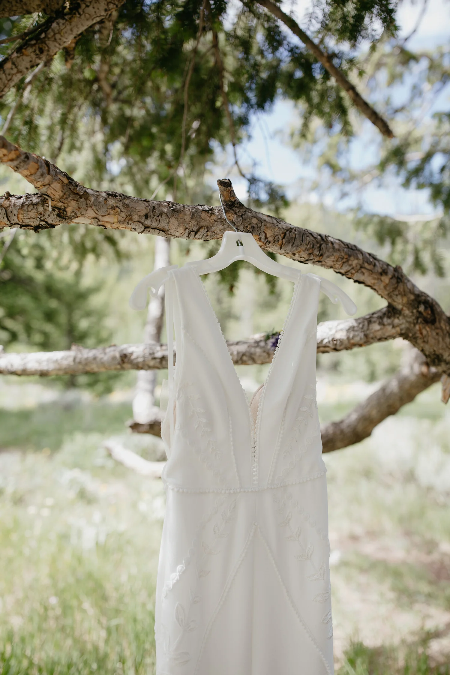 The Wedding Tree Jackson Hole Elopement + Sunset Taggart Lake Hike ...