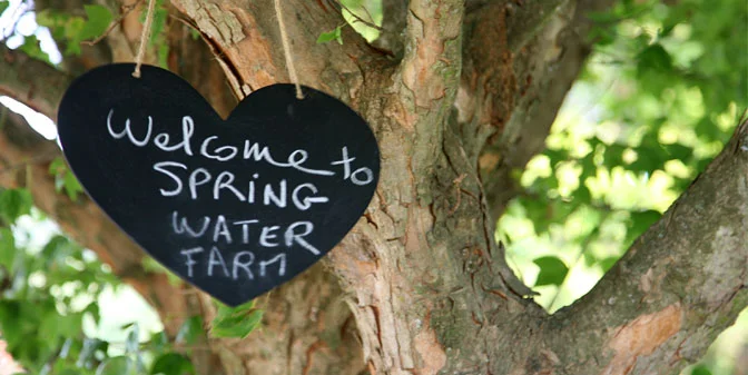 Spring Water Farm