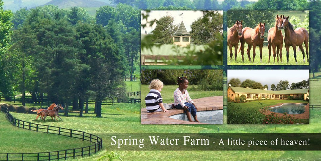 Spring Water Farm