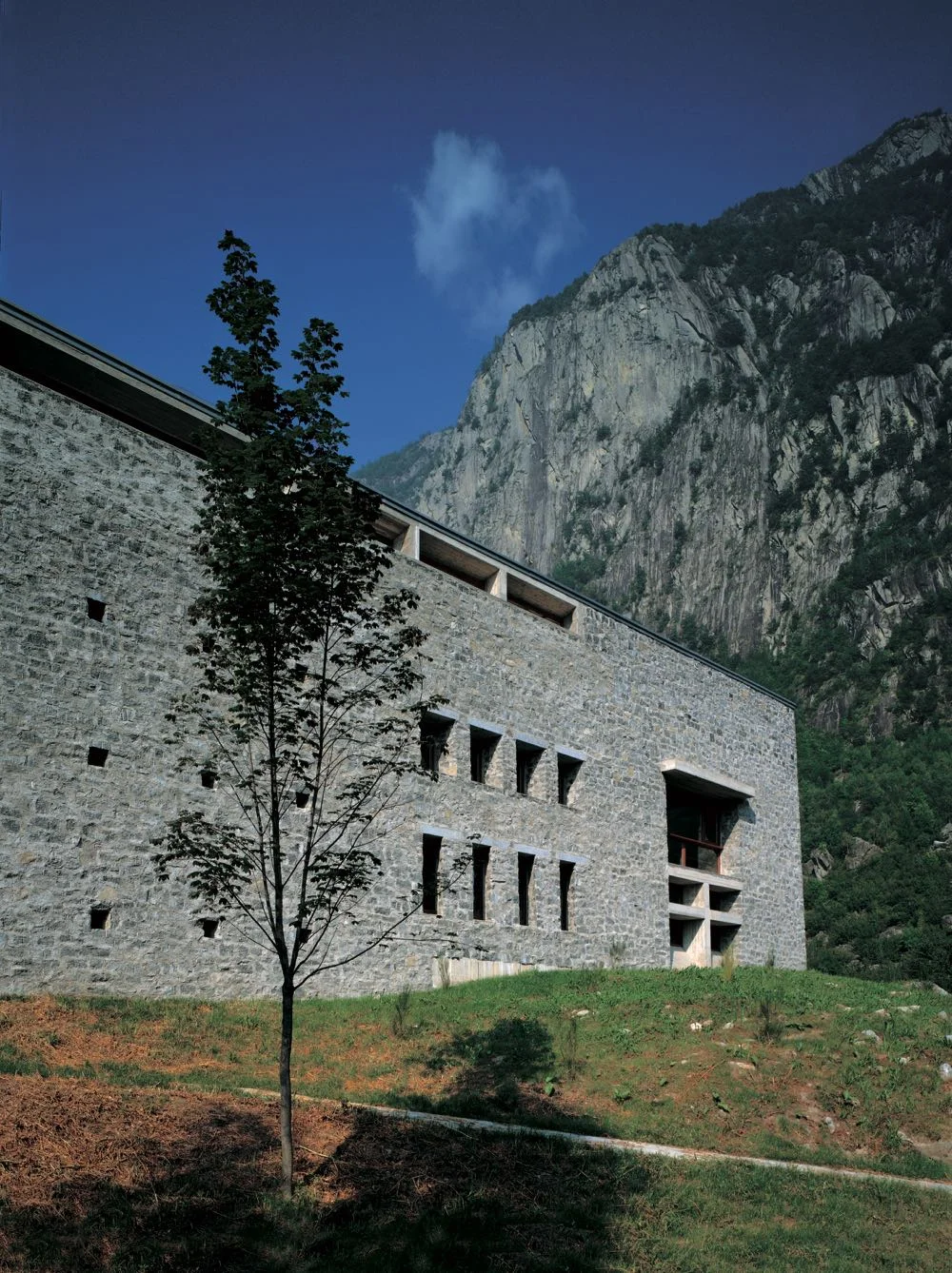 Same Same Different - A discussion between Enrico Taglietti and ...