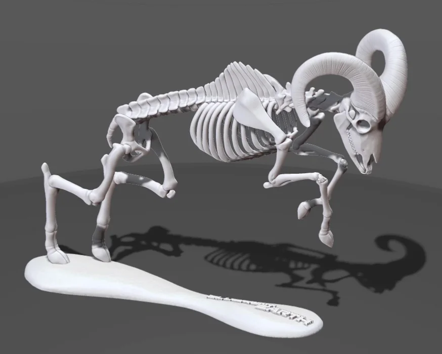 Sheep Skeleton