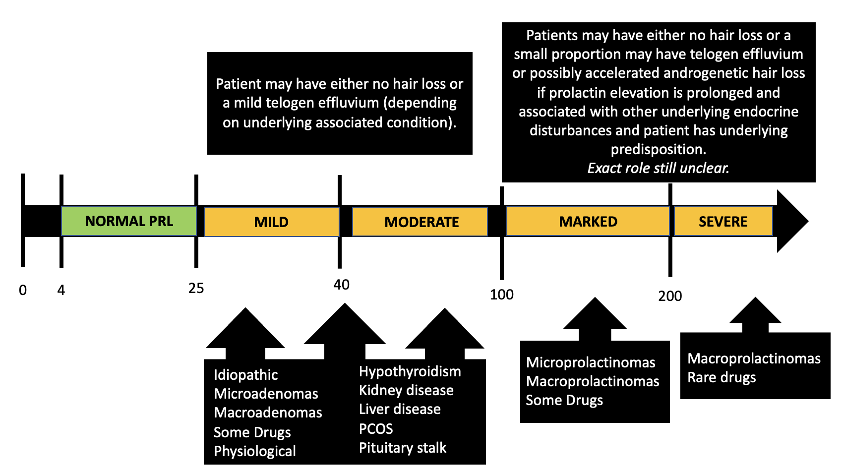 Hyperprolactinemia Does Elevated Prolactin Contribute To Hair Loss