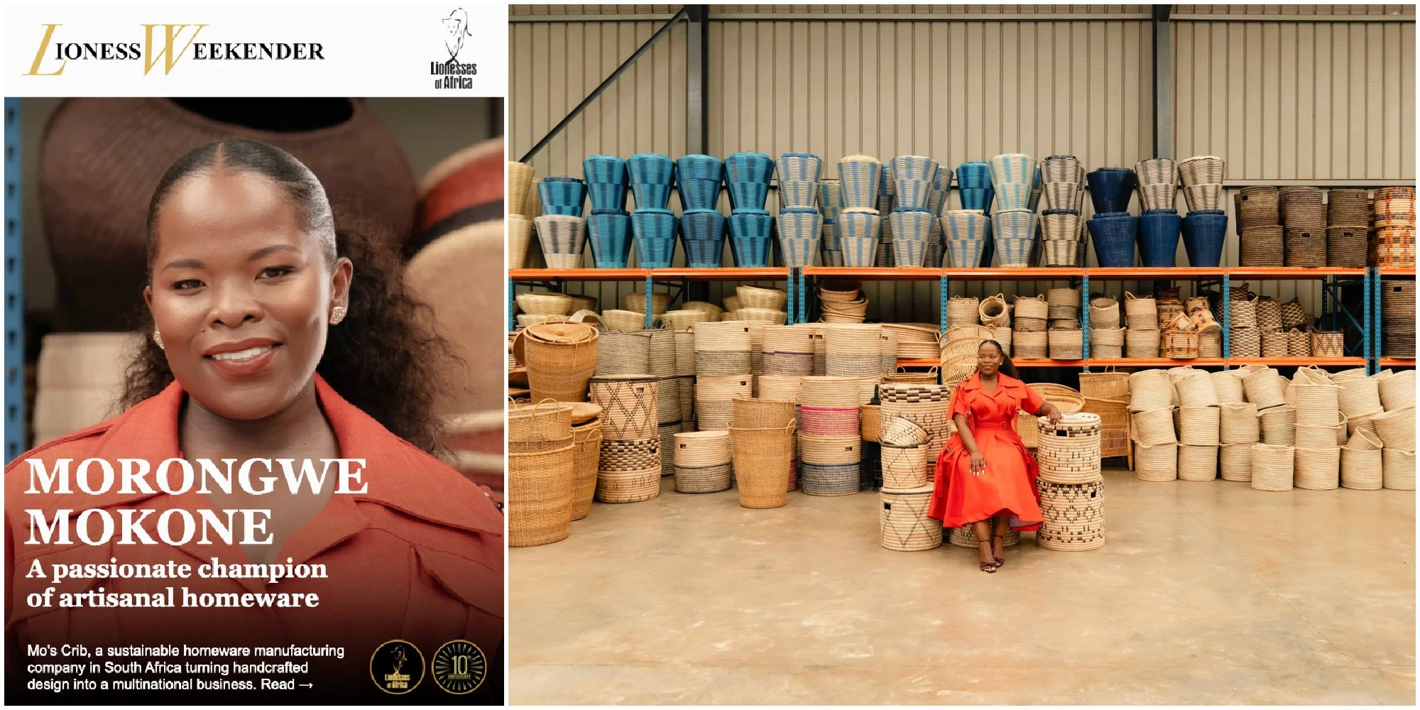 Blog — Lionesses of Africa