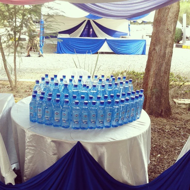 Ruth Mwanzia - The startup story of a Kenyan entrepreneur bringing pure ...