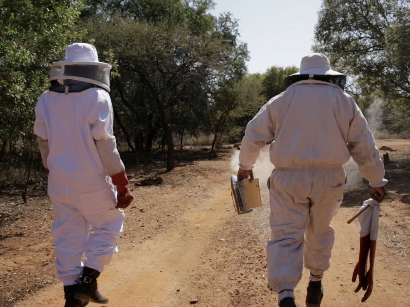 Mmabatho Portia Morudi - The startup story of a South African woman bee ...