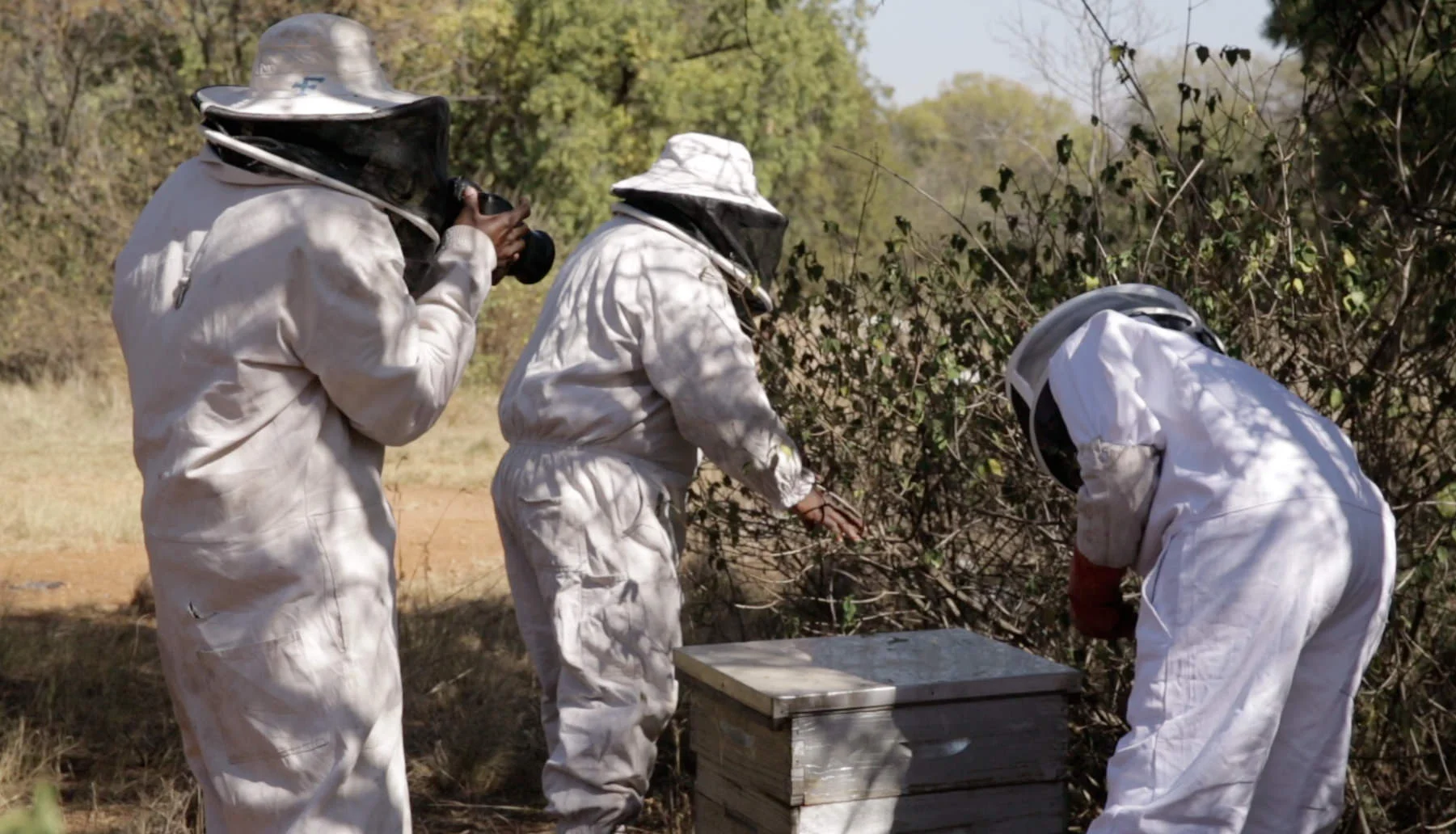 Mmabatho Portia Morudi - The startup story of a South African woman bee ...