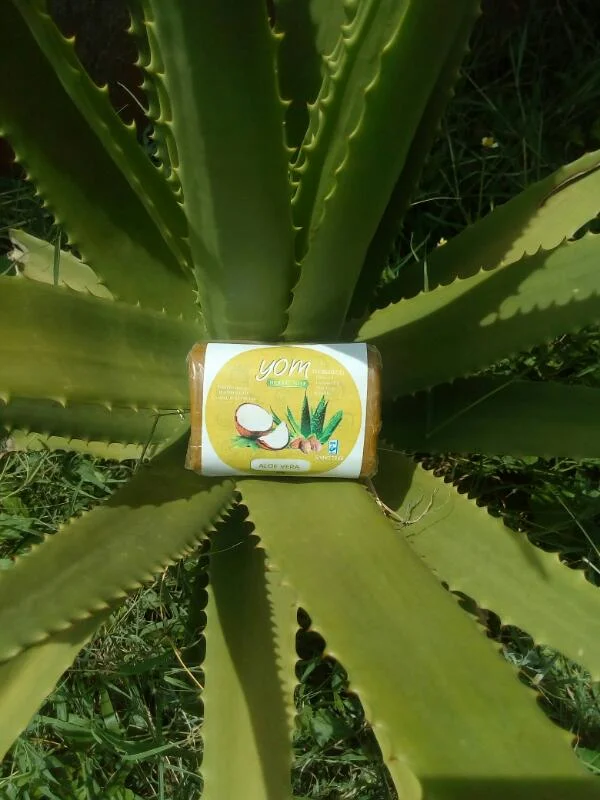 Pesika Odera, Winnie Ochieng and Doreen Okal, three Kenyan ...