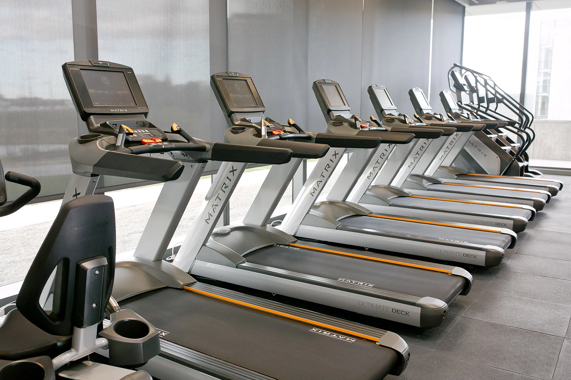 BRIGETTE MASHILE, founder of Roka Roko. Articles → — Lionesses of Africa