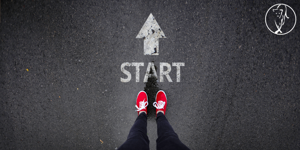 Starting something — Lionesses of Africa