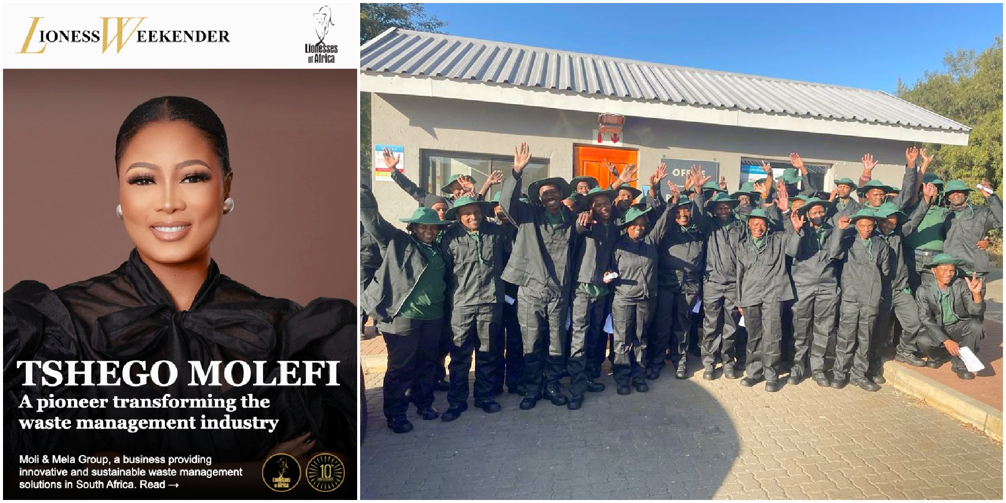 Blog — Lionesses of Africa