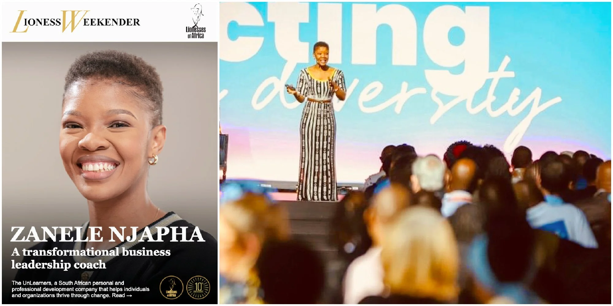 Blog — Lionesses of Africa