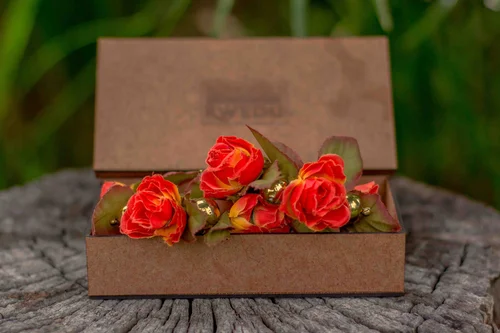 Rumbidzai Matemachani, a Zimbabwean entrepreneur building a unique ...