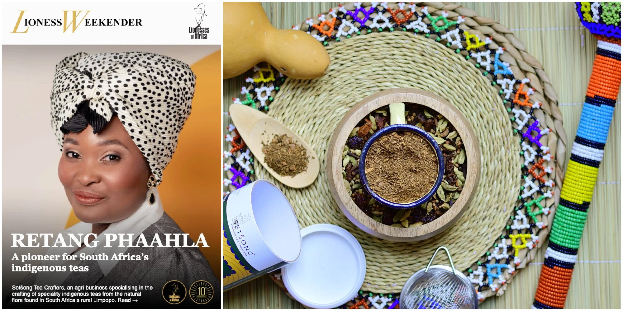 Blog — Lionesses of Africa