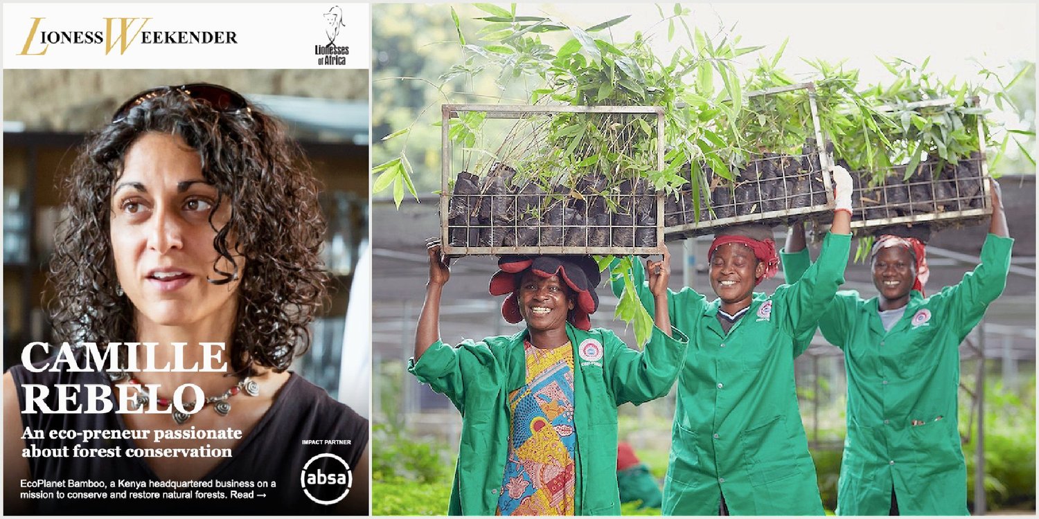 Camille Rebelo, an eco-preneur passionate about forest conservation ...