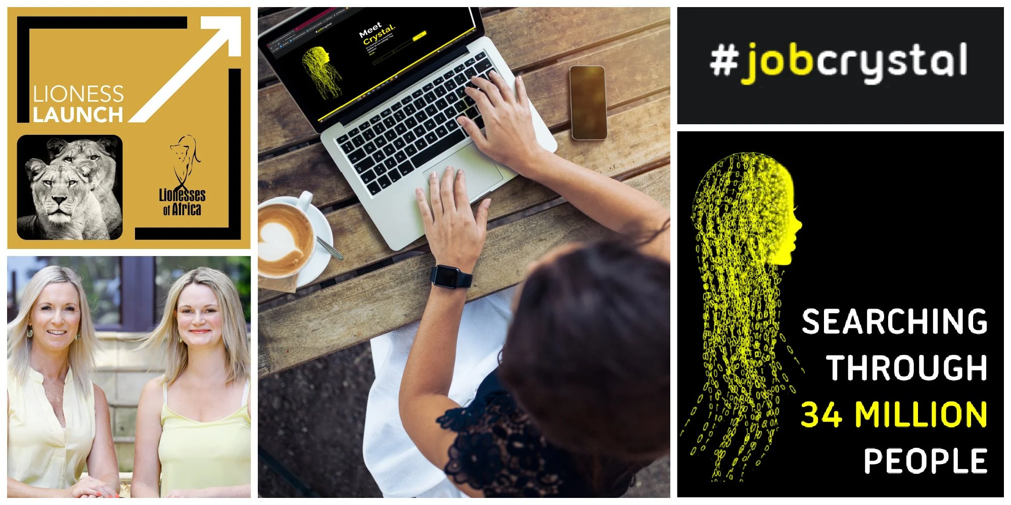 Lioness Launch / South Africa’s Job Crystal launches new AI recruitment ...