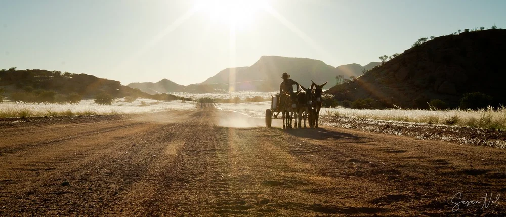 Susan Nel, an entrepreneur in Namibia who turned her passion for ...