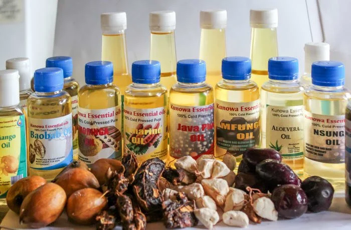 Victoria Haihambo, a Namibian entrepreneur connecting micro women ...