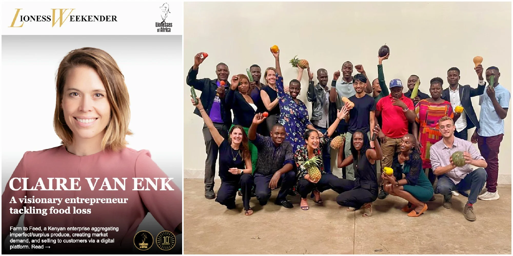 Blog — Lionesses of Africa