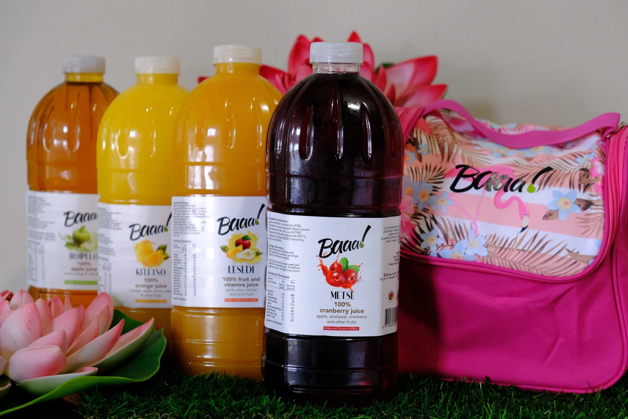 Bontle Tshole, a South African entrepreneur passionate about healthy ...