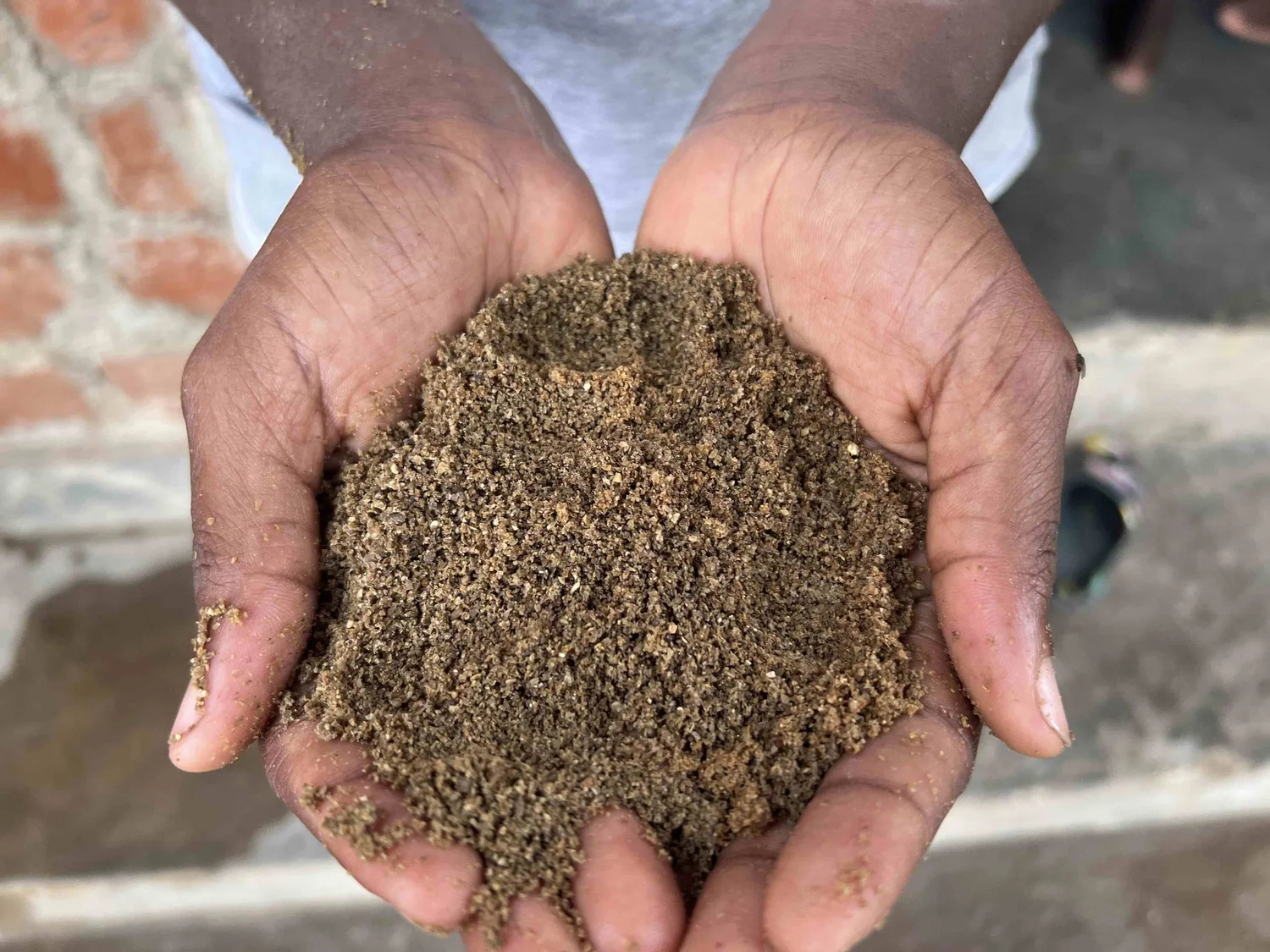 Priscilla Musenge, a Zambian entrepreneur creating sustainable animal ...