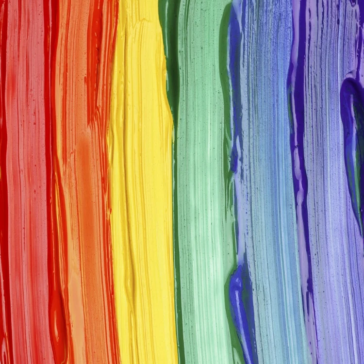 The Diversity Center