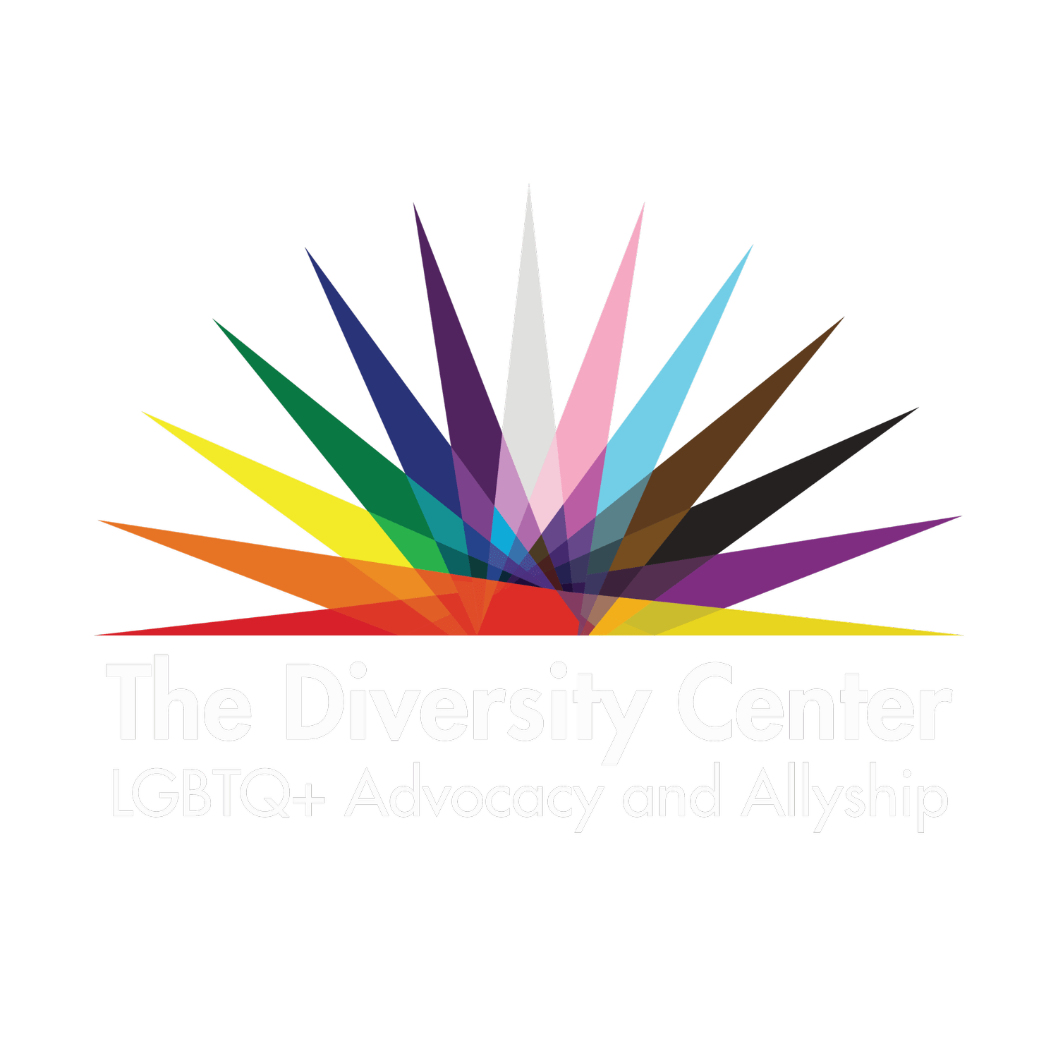 The Diversity Center