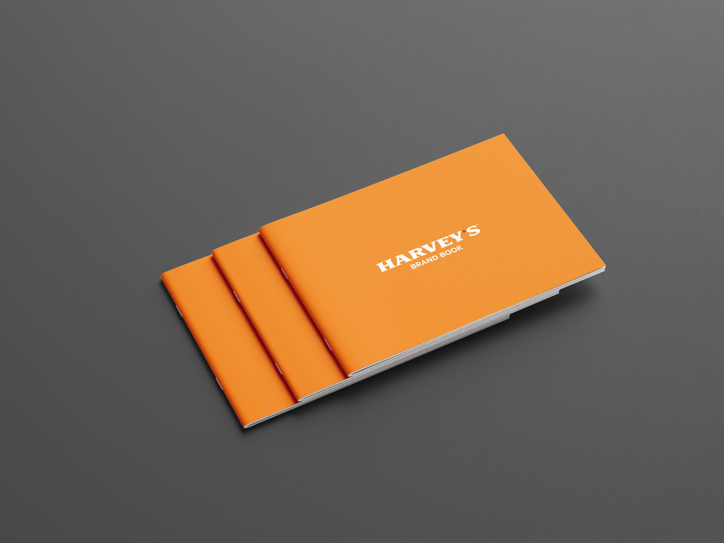 Harvey's Brand Book & Identity Guide — Gianfranco Zangari