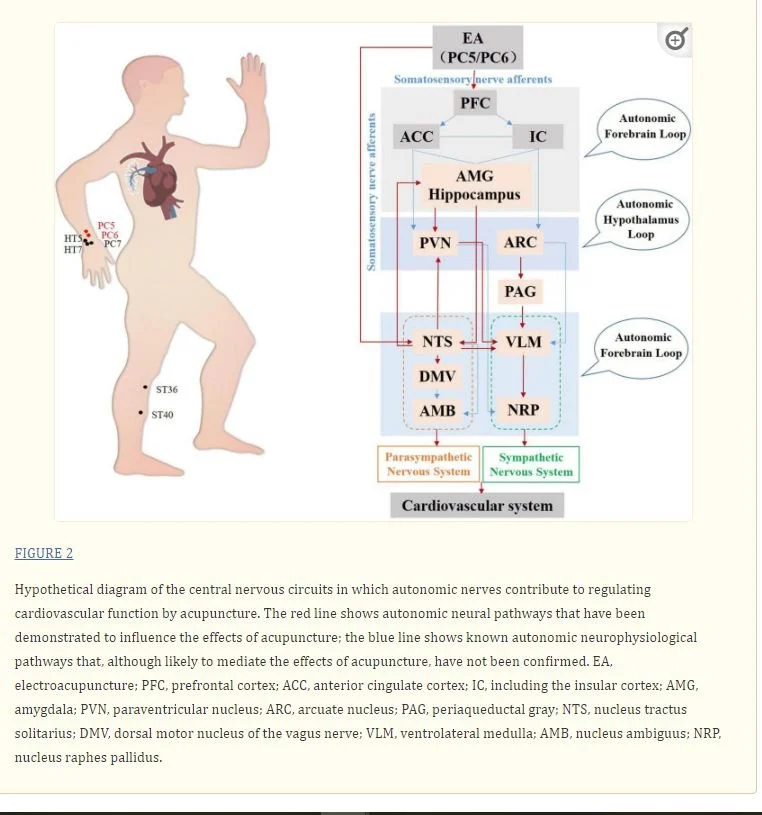 Acupuncture — NatureWorks Acupuncture and Chinese Medicine