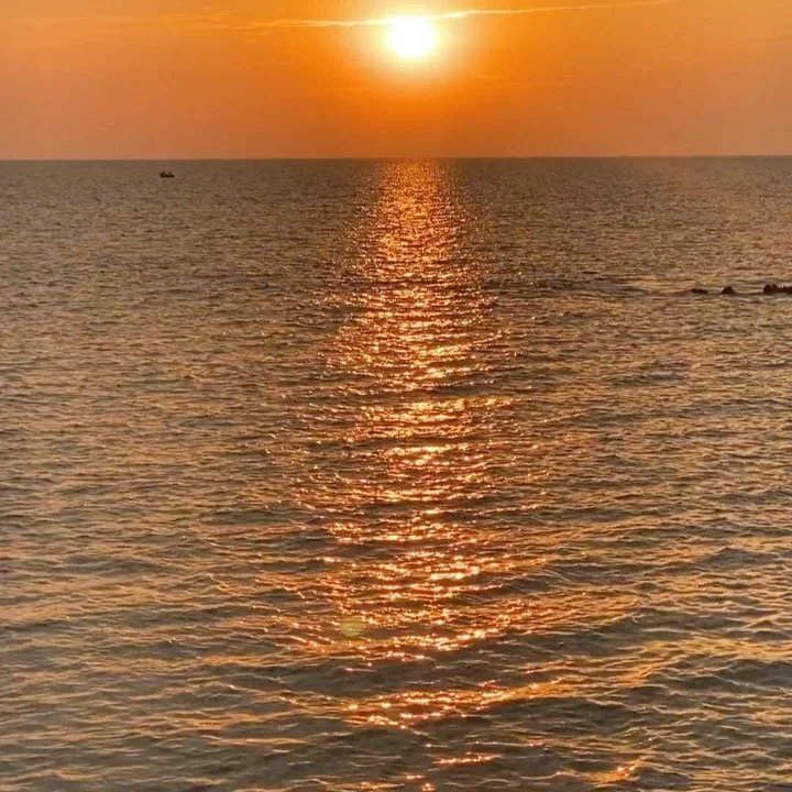 Lori's Mobile Notary