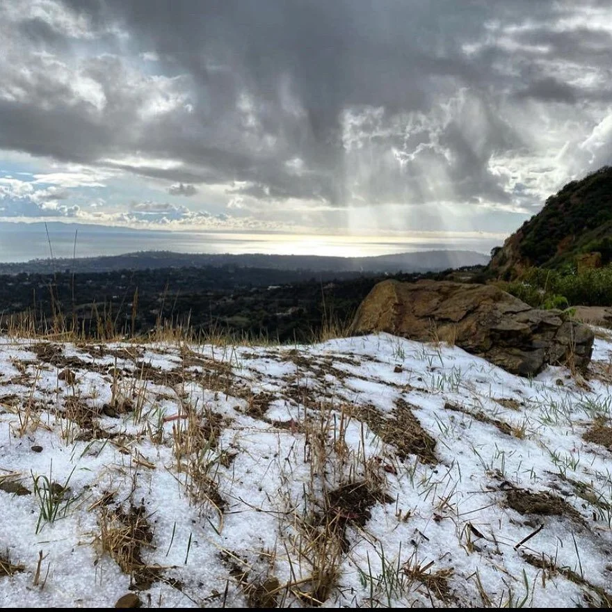 Lori's Mobile Notary