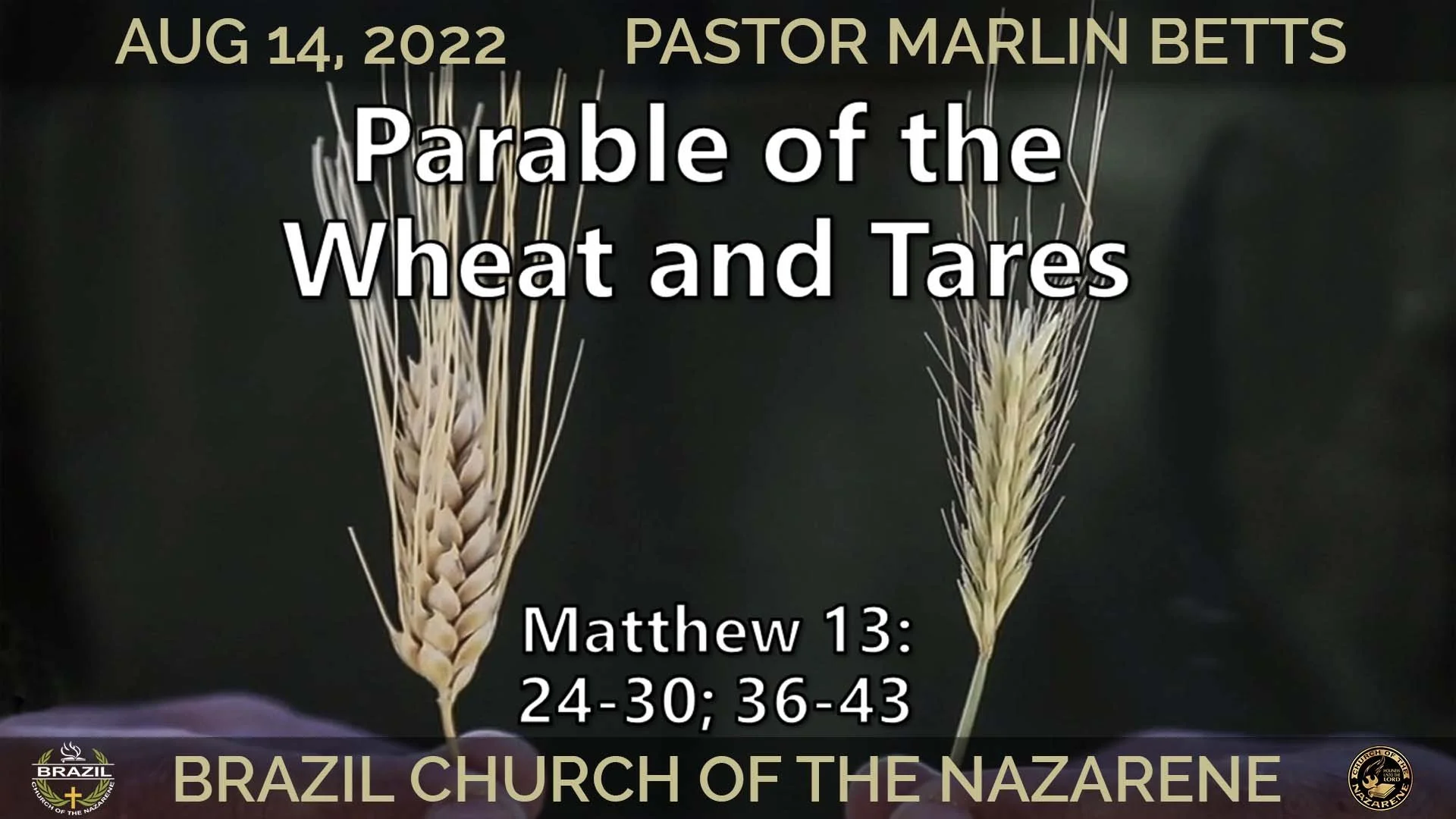 Parable of the Wheat and Tares — Brazil Church of the Nazarene