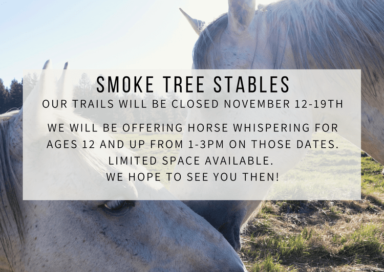 SMOKE TREE STABLES — Home