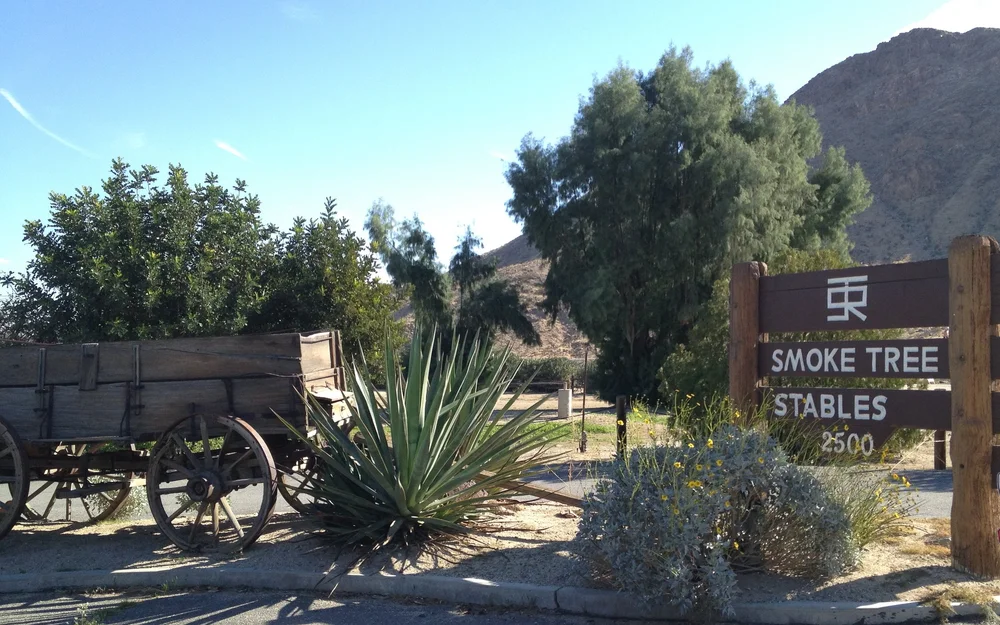 SMOKE TREE STABLES — Contact Us