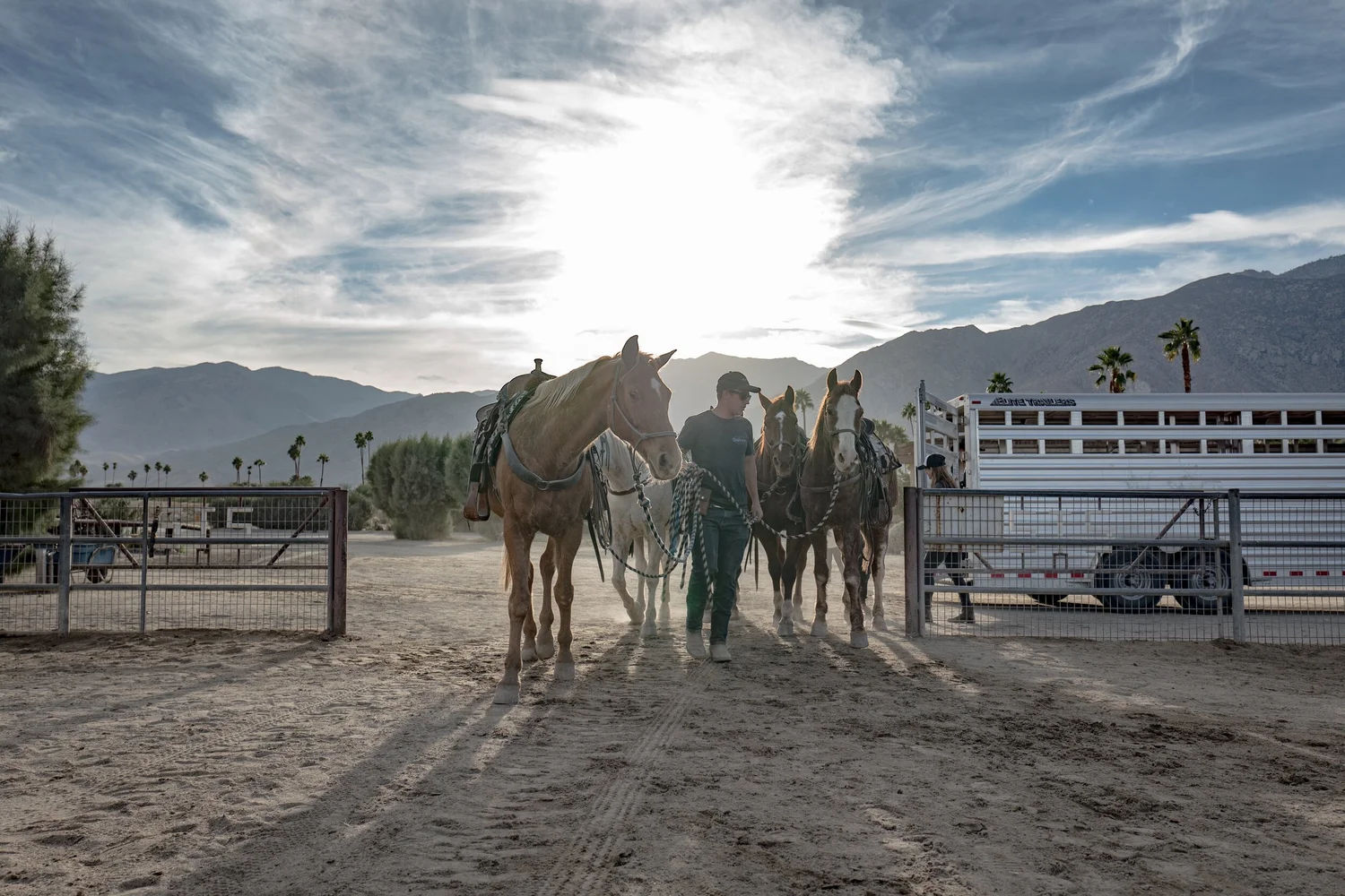 SMOKE TREE STABLES — About Us