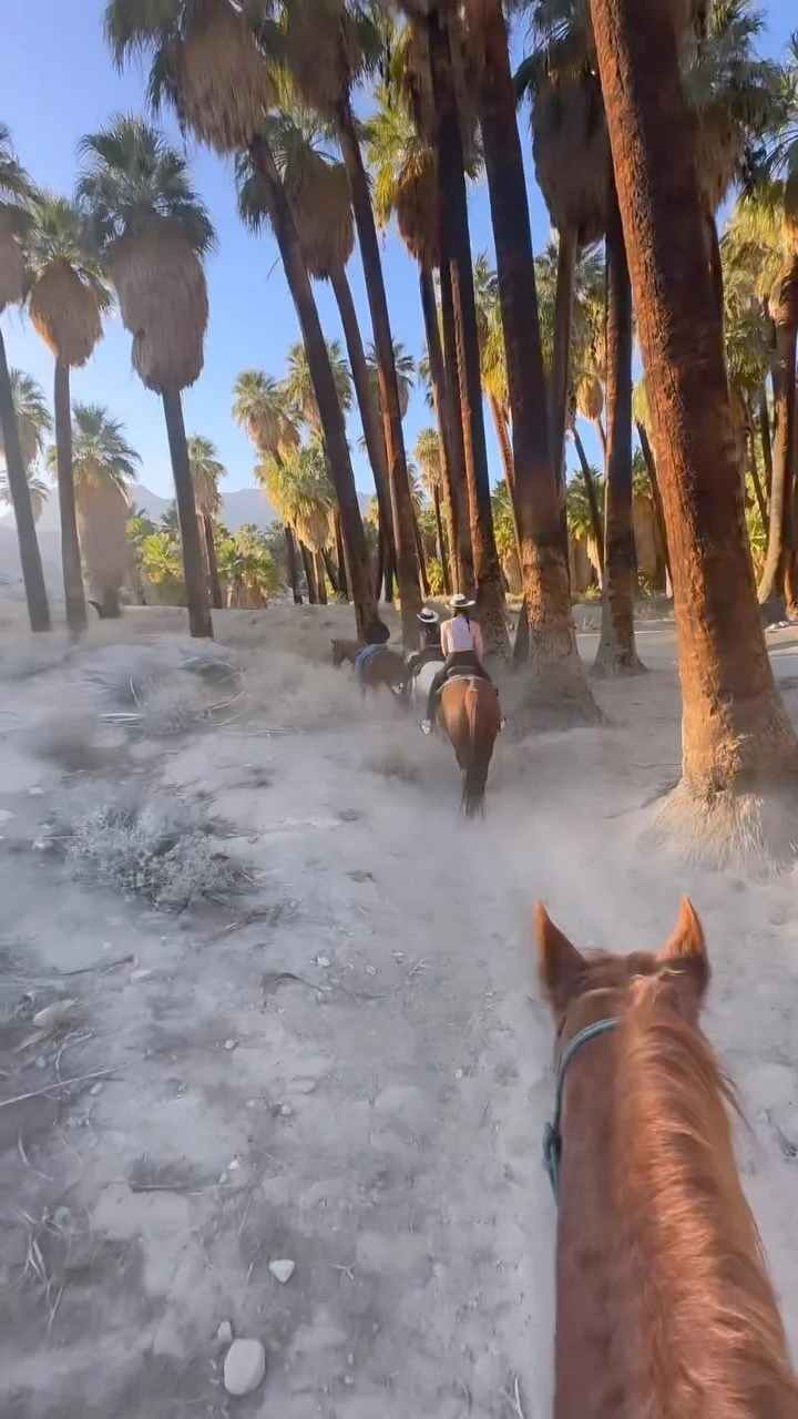 SMOKE TREE STABLES — About us