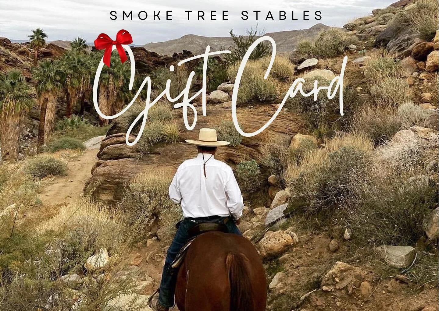 SMOKE TREE STABLES — About us