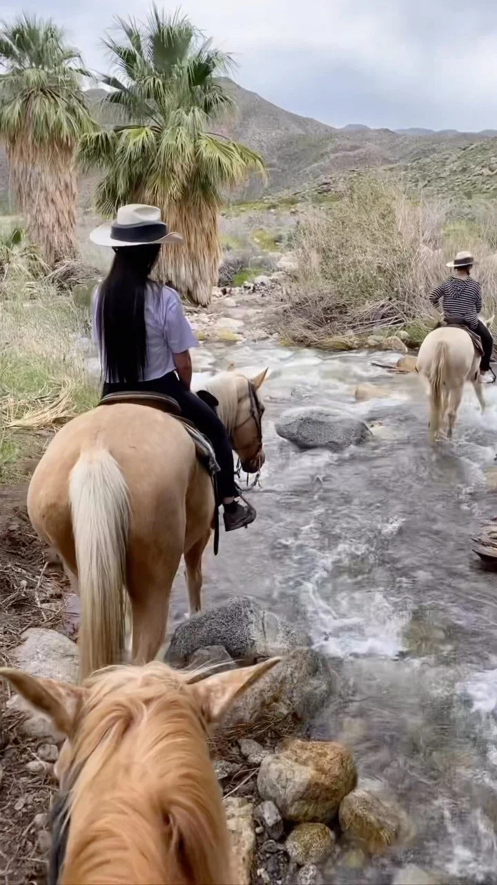 SMOKE TREE STABLES — About Us