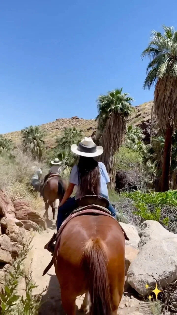 SMOKE TREE STABLES — About Us