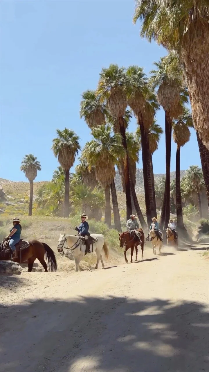 SMOKE TREE STABLES — About Us