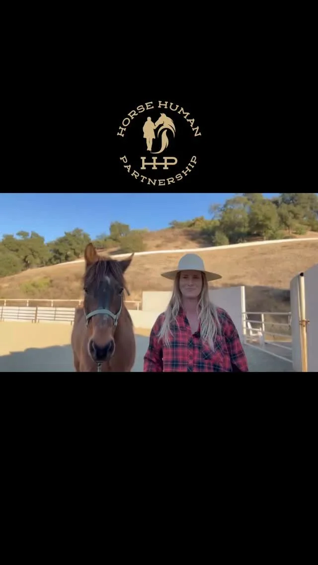 SMOKE TREE STABLES — HHP Training