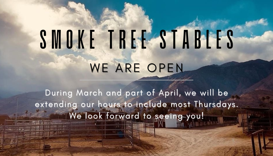 SMOKE TREE STABLES — Home