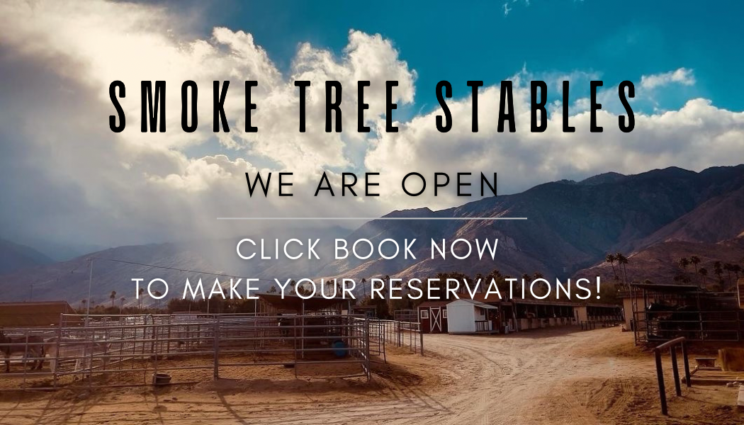 SMOKE TREE STABLES — Home