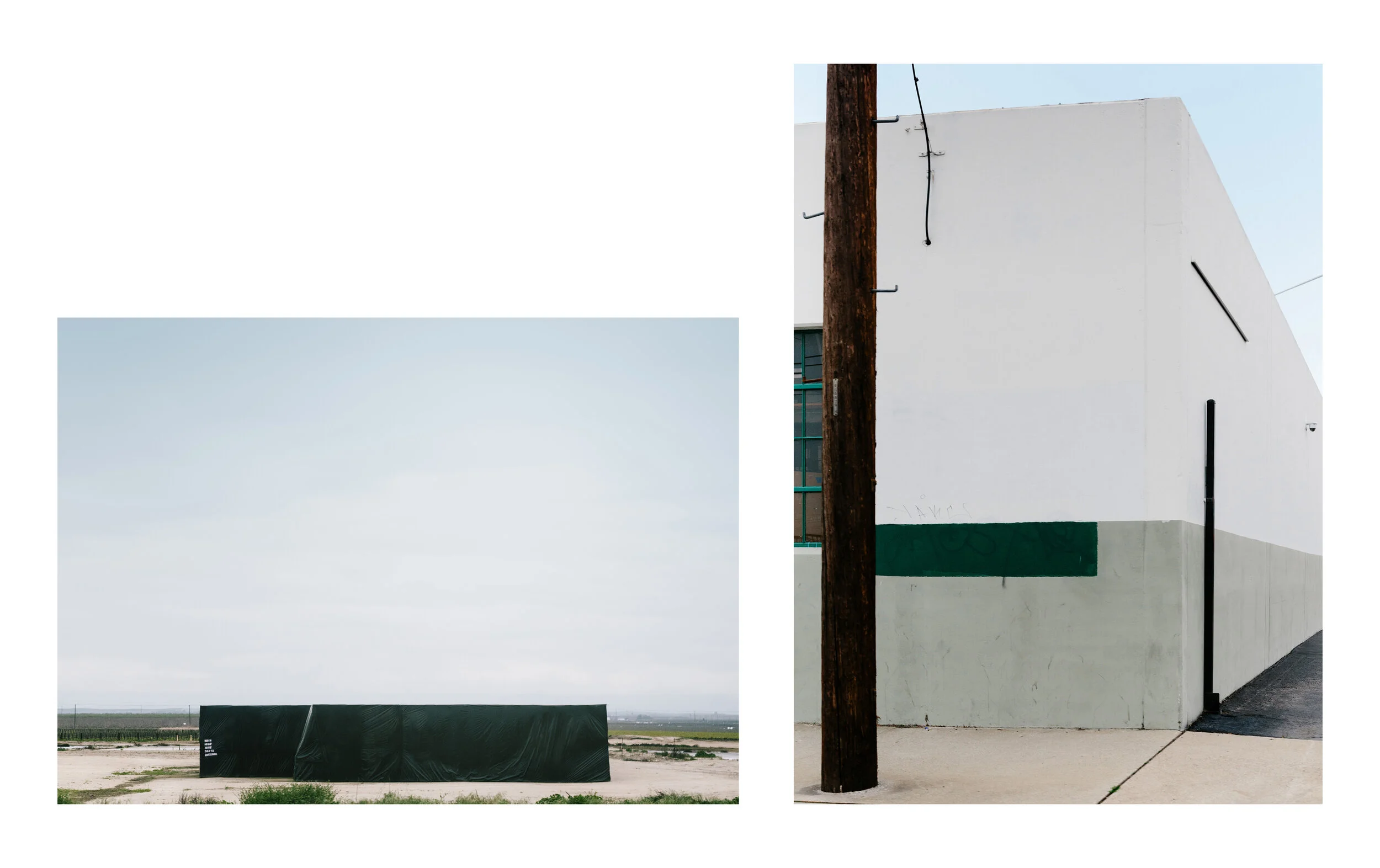 Rachelle Mendez Contemporary Artist