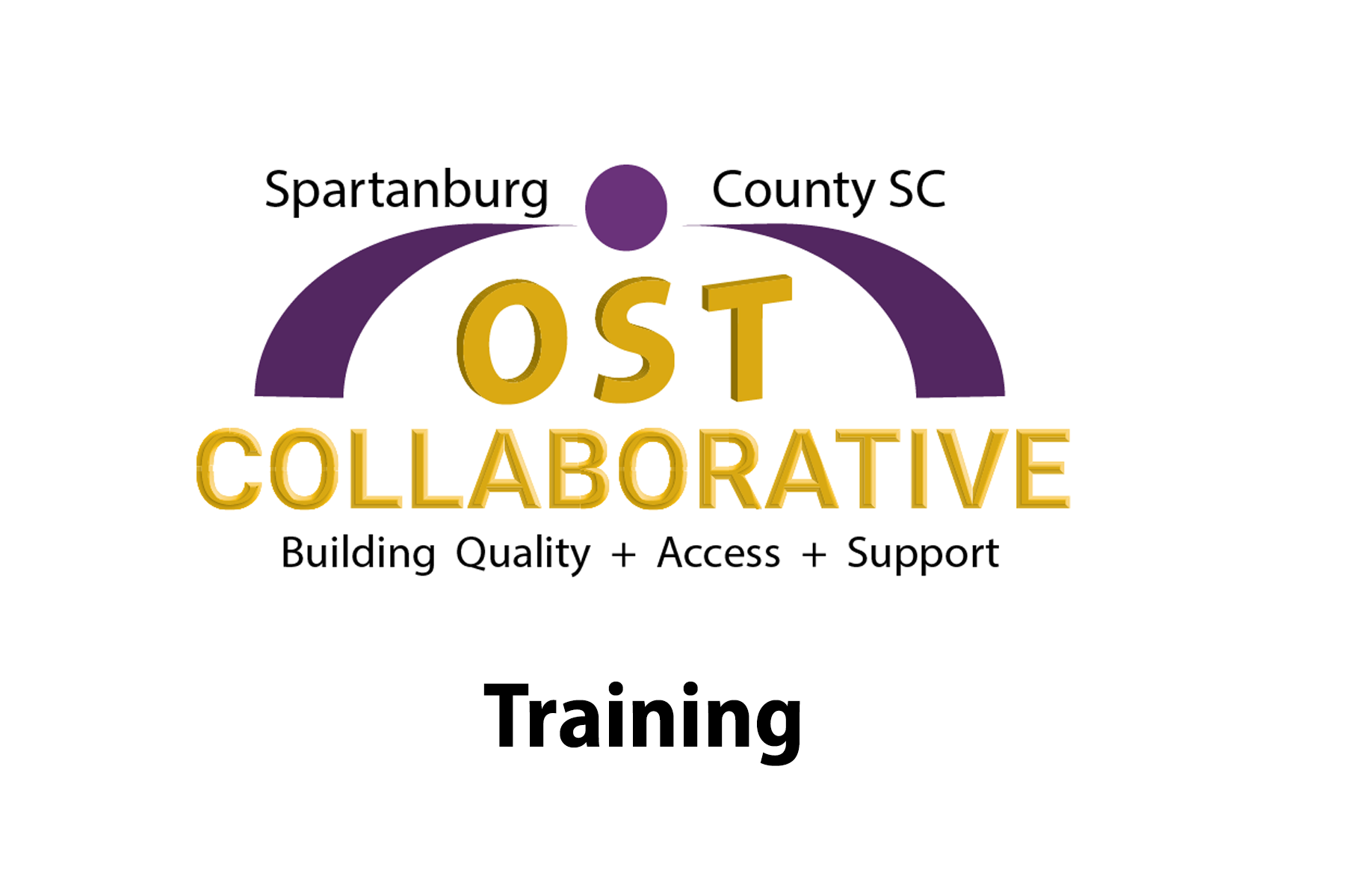 OST Training: Cultural Competency — Spartanburg Academic Movement