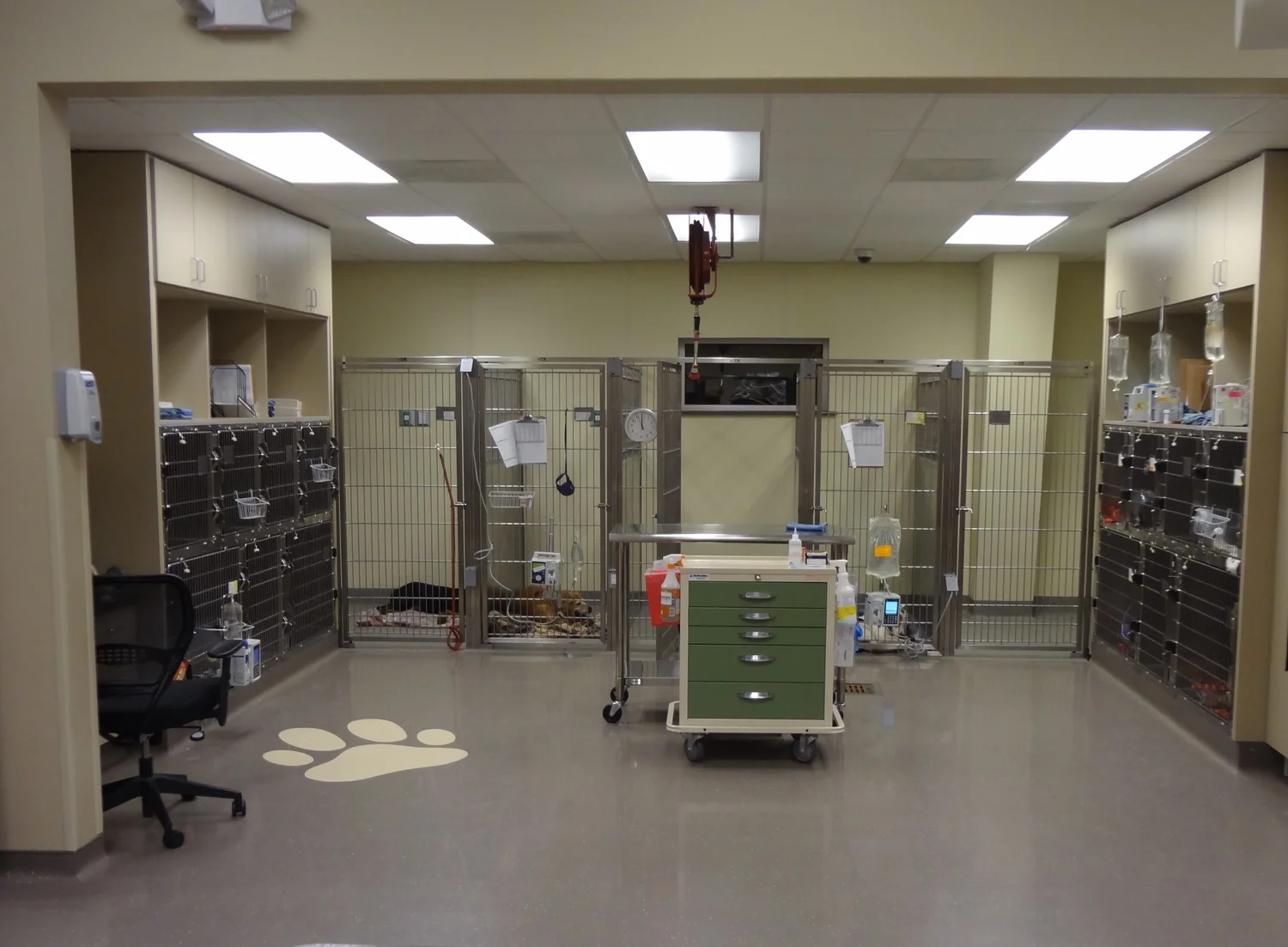 Hospital Tour and Photo Gallery — Triangle Veterinary Referral Hospital ...