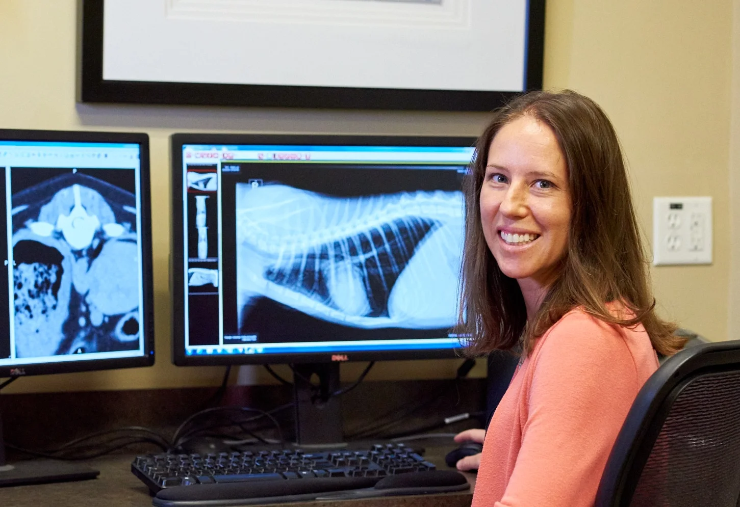 Radiology — Triangle Veterinary Referral Hospital- Durham 919.489.0615