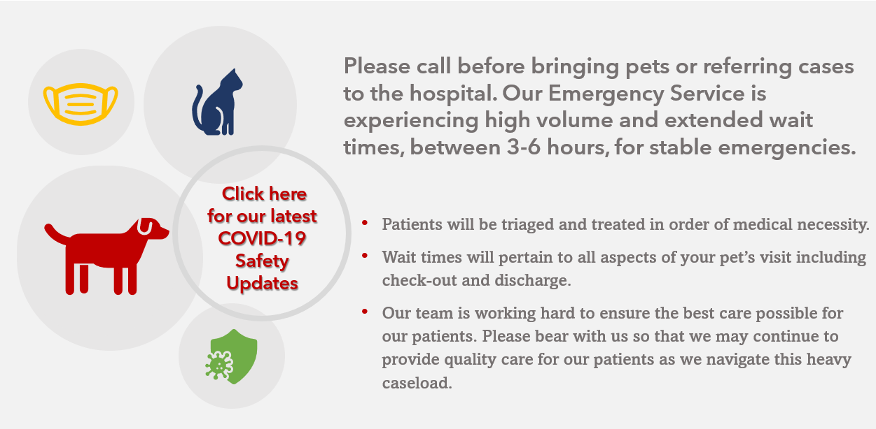 Triangle Veterinary Referral Hospital- Durham 919.489.0615